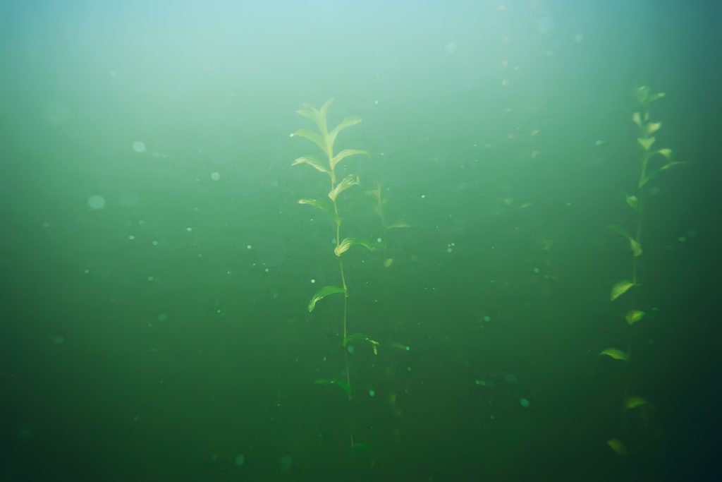 Understanding Turbidity, TDS, and TSS – Aquaread